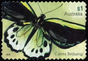 Stamp: Cairns Birdwing (Omithoptera euphorion) (Australia(Beautiful ...