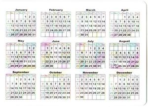 Pocket Calendar: Spotted Dog (United States of America(Dogs) Col:US ...