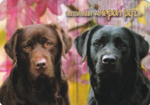 Pocket Calendar: Labrador Retriever (Russia(Dogs) Col:RUS-2018-Dog-026.02