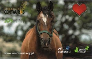 Pocket Calendar: Horse (Poland(Centaurus Foundation) Col:PL-2017-Horse-001.02