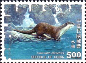 Stamp: Eurasian Otter (Lutra lutra chinensis) (Taiwan (Republic of ...