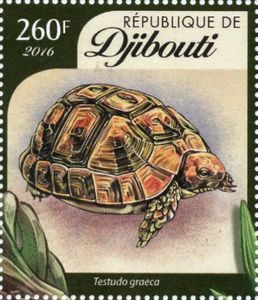 Stamp: Spur-thighed tortoise (Testudo graeca) (Djibouti(Turtles (2016:1 ...