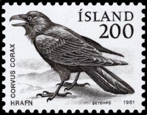 Stamp: Common Raven (Corvus corax) (Iceland) (Iceland Fauna) Mi:IS 569 ...