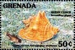 Stamp: Conchfish, Queen conch (Grenada(Marine Life in the Sand Flats ...