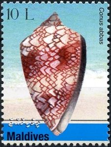 Stamp: Abbas Cone (Conus abbas) (Maldives(Seashells of Maldives (2010 ...