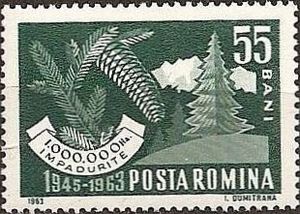 Stamp: Fir Branch with Cone and Fir Tree (Romania(Afforestation (1963 ...