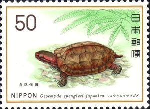 Sello: Ryukyu Black-breasted Leaf Turtle (Geomyda spengleri japonic ...