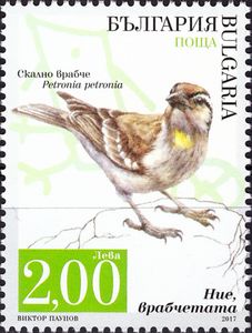 Stamp: Rock sparrow (Petronia petronia) (Bulgaria(Sparrows) Mi:BG 5337 ...