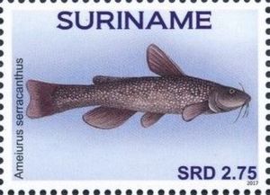 Stamp: Spotted Bullhead (Ameiurus serracanthus) (Suriname(Fish (2017 ...