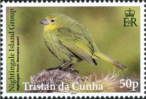 Stamp: Nightingale Island Finch (Nesospiza questi) (Tristan da Cunha ...
