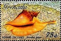 Stamp: Rooster tail conch (Grenada(Seashells of Grenada) Mi:GD 2605,Sn ...