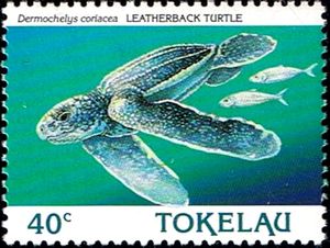Stamp: Leatherback Sea-Turtle (Dermochelys coriacea) (Tokelau(Sea ...