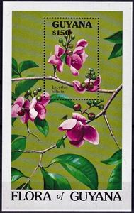 Stamp: Lecythis ollaria (Guyana) (Climbing plants) Mi:GY BL114,Sn:GY ...