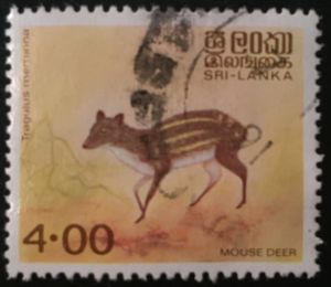 Stamp: White-spotted Mouse Deer (Tragulus meminna) (Sri Lanka(Native ...