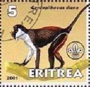 Stamp: Diana Monkey (Cercopithecus diana) (Eritrea: Illegal Stamps ...
