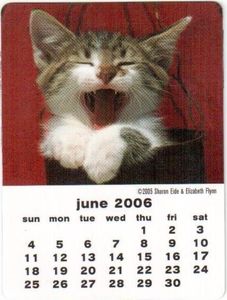 Calendario de Bolsillo: Cat on magnet - June (Estados Unidos de América ...