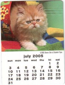 Calendario de Bolsillo: Cat on magnet - July (Estados Unidos de América ...