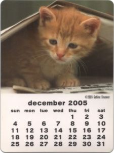 Calendario de Bolsillo: Red Kitten - December (Estados Unidos de ...