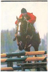 Pocket Calendar: Horse (Soviet Union, USSR(Gosstrah) Col:SU-1990-Ins-015.03