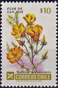 Stamp: St. Joseph Flower (Balbisia peduncularis) (Chile(Flora and Fauna ...