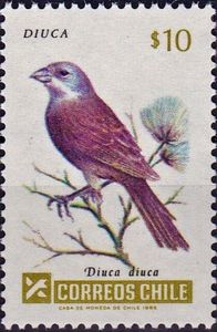 Stamp: Diuca Finch (Diuca diuca) (Chile(Flora and Fauna) Mi:CL 1081,Sn ...