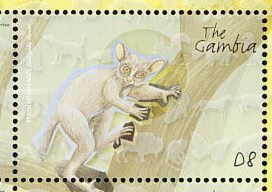Stamp: Thomas' pelago (Galagoides thomasi) (Gambia(Flora & Fauna (2001 ...