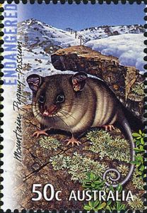 Stamp: Mountain Pygmy Possum (Burramys parvus) (Australia(Threatened ...