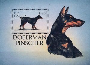 Stamp: Doberman pinscher (Gambia(Dogs (1997)) Mi:GM BL367,Sn:GM 1991,Sg ...