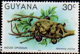 Stamp: Linnaeus's Mouse Opossum (Marmosa murina) (Guyana(Fauna and ...