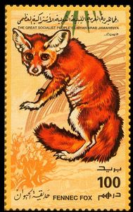Stamp: Fennec Fox (Vulpes zerda) (Libya(Libyan Zoo) Mi:LY 2112,Sn:LY ...