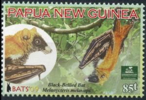 Stamp: Black-bellied Bat (Melonycteris melanops) (Papua New Guinea(Bats ...