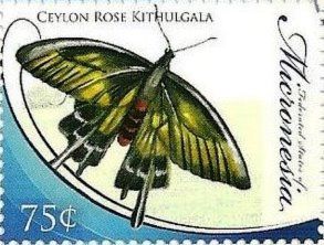 Stamp: Ceylon Rose (Pachliopta jophon) (Micronesia, Federated States of ...