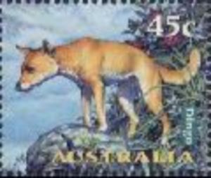 Stamp: Dingo (Canis lupus dingo) (Australia(Nocturnal Animals) Mi:AU ...