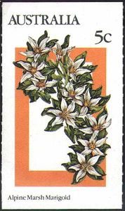 Stamp: Alpine Marsh Marigold (Caltha introloba) (Australia(Alpine ...