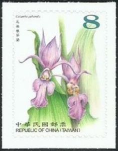 Timbre: Calanthe puberula (Taïwan (Formose)(Wild Orchids of Taiwan) Mi ...