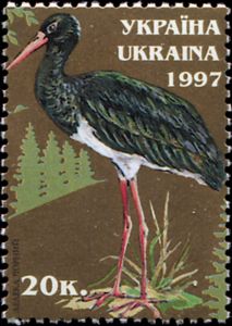 Stamp: Black Stork (Ciconia nigra) (Ukraine) (Fauna of Ukraine) Mi:UA ...