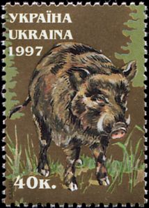 Stamp: Wild Boar (Sus scrofa) (Ukraine) (Fauna of Ukraine) Mi:UA 242,Sn ...