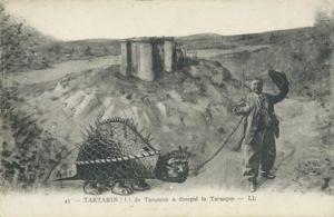 Postcard: Tarascon - Tartarin of Tarascon has tamed the Tarasque ...