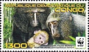 Stamp: Owl-faced Monkey (Cercopithecus hamlyni) (Congo, Democratic ...