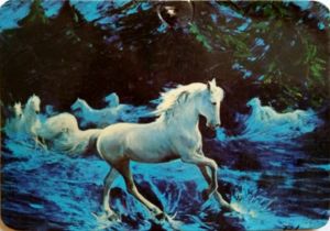 Calendario de Bolsillo: White Horse - Seguros Vertice (España(Art) Col ...