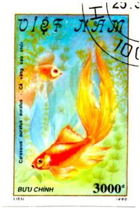 Stamp: Comet (Carassius auratus auratus) (Vietnam(Goldfish (1990)) Mi ...