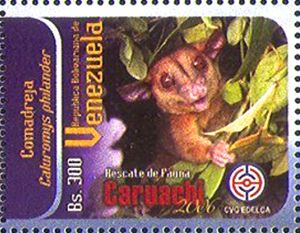 Stamp: Bare-tailed woolly Opossum (Caluromys philander) (Venezuela ...