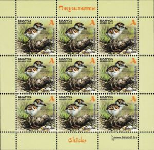 Stamp: Common Ringed Plover (Charadrius hiaticula) (Belarus(Chicks (2018)) Mi:BY 1229KB,AFA:BY ...