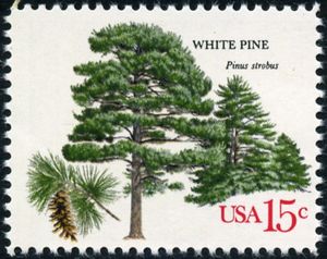 Stamp: White Pine (Pinus strobus) (United States of America(American ...