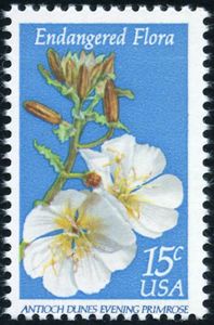 Stamp: Antioch Dunes Evening Primrose (United States of America ...