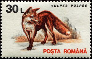 Stamp: Red Fox (Vulpes vulpes) (Romania(Mammals) Mi:RO 4905Y,Zim:RO 5200a