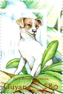 Stamp: Jack Russell (Guyana(Dogs and Cats in the Caribbean) Mi:GY 7123 ...