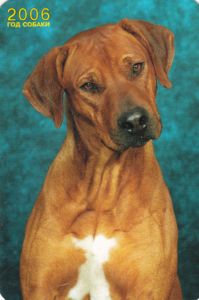 Pocket Calendar: Rhodesian Ridgeback (Russia(Dogs) Col:RUS-2006-Dog-014.39