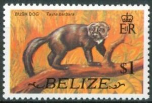 Stamp: Bush Dog (Tayra barbara) (Belize(Native Wildlife) Mi:BZ 322,Sn ...