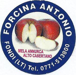 Fruit Sticker: Forcina Antonio Mela Annurca Alto Casentano (ItalyCol:IT ...